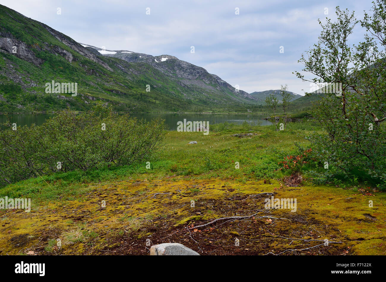vibrant colors on summer mountain landscape Stock Photo - Alamy