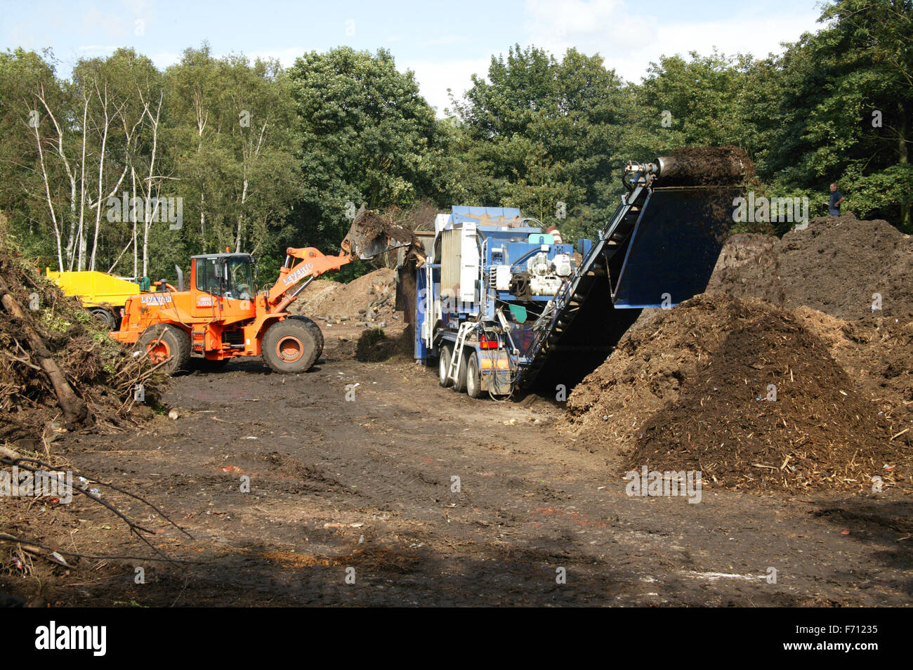 Green Waste being shredded to mulch Stock Photo - Alamy