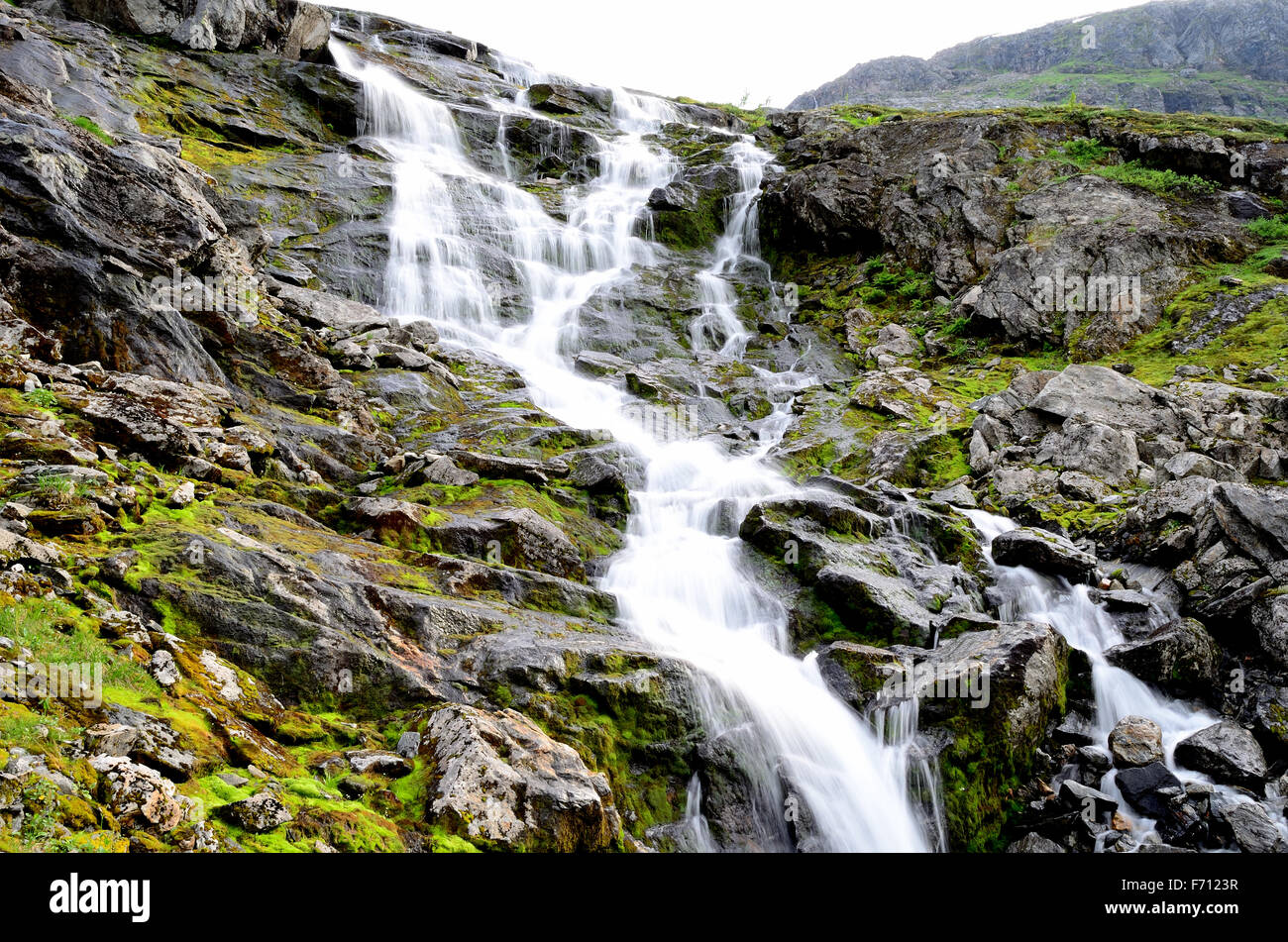 clean fresh water stream running down mountain side in summer landscape ...