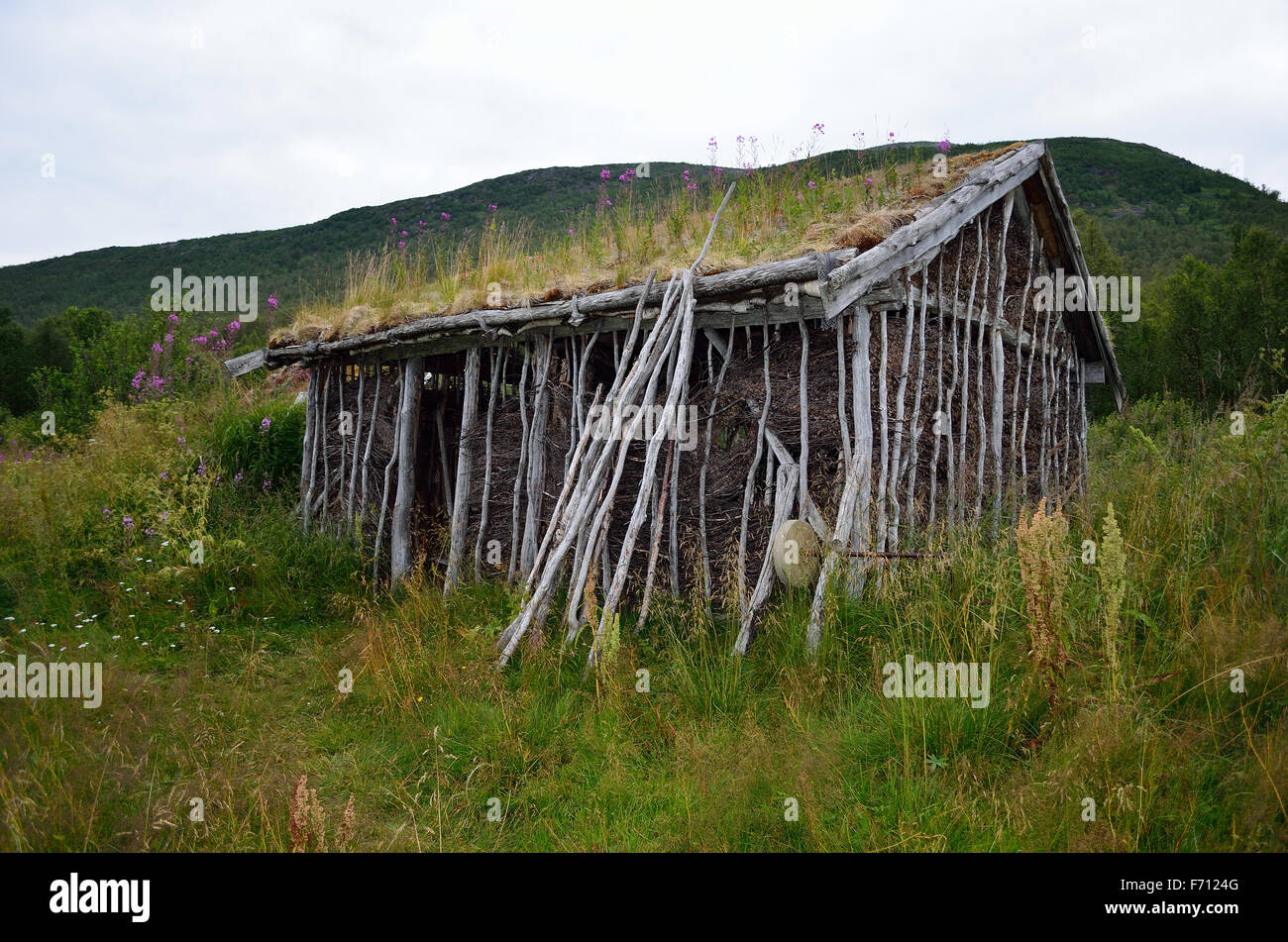 old saami house in northern norway Stock Photo - Alamy