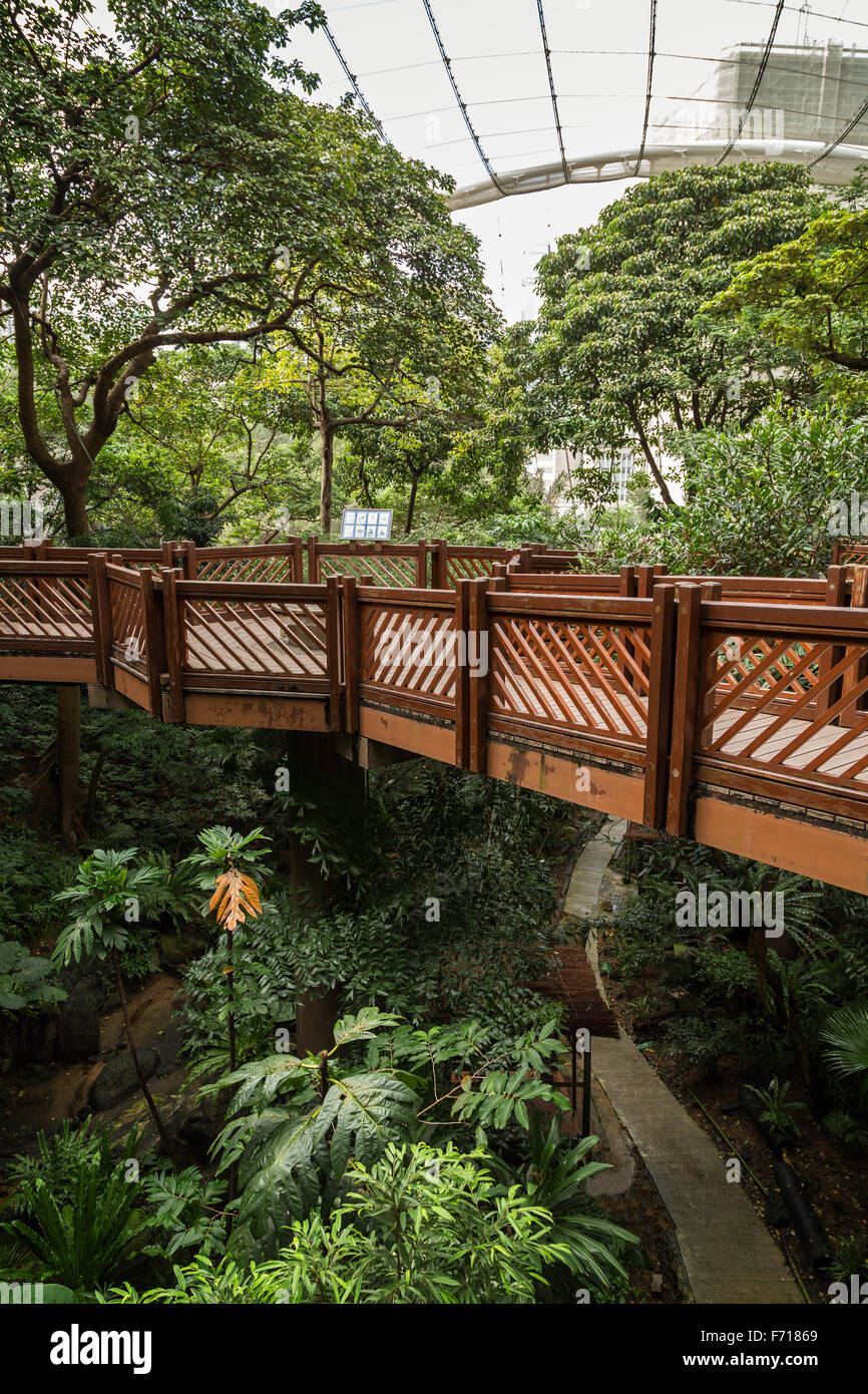 Inside the Edward Youde Aviary at the Hong Kong Park in Hong Kong ...