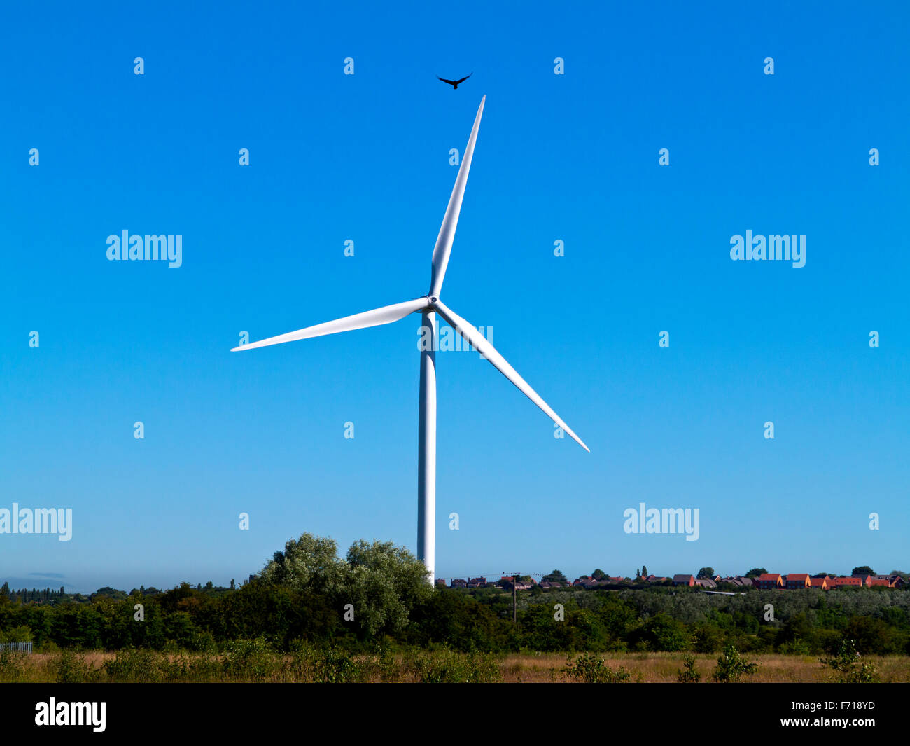 Wind turbine photographed in summer with blue sky behind and bird ...