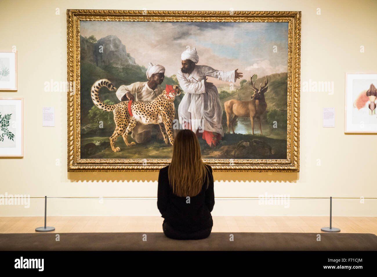 Cheetah with two indian attendants hi-res stock photography and images ...