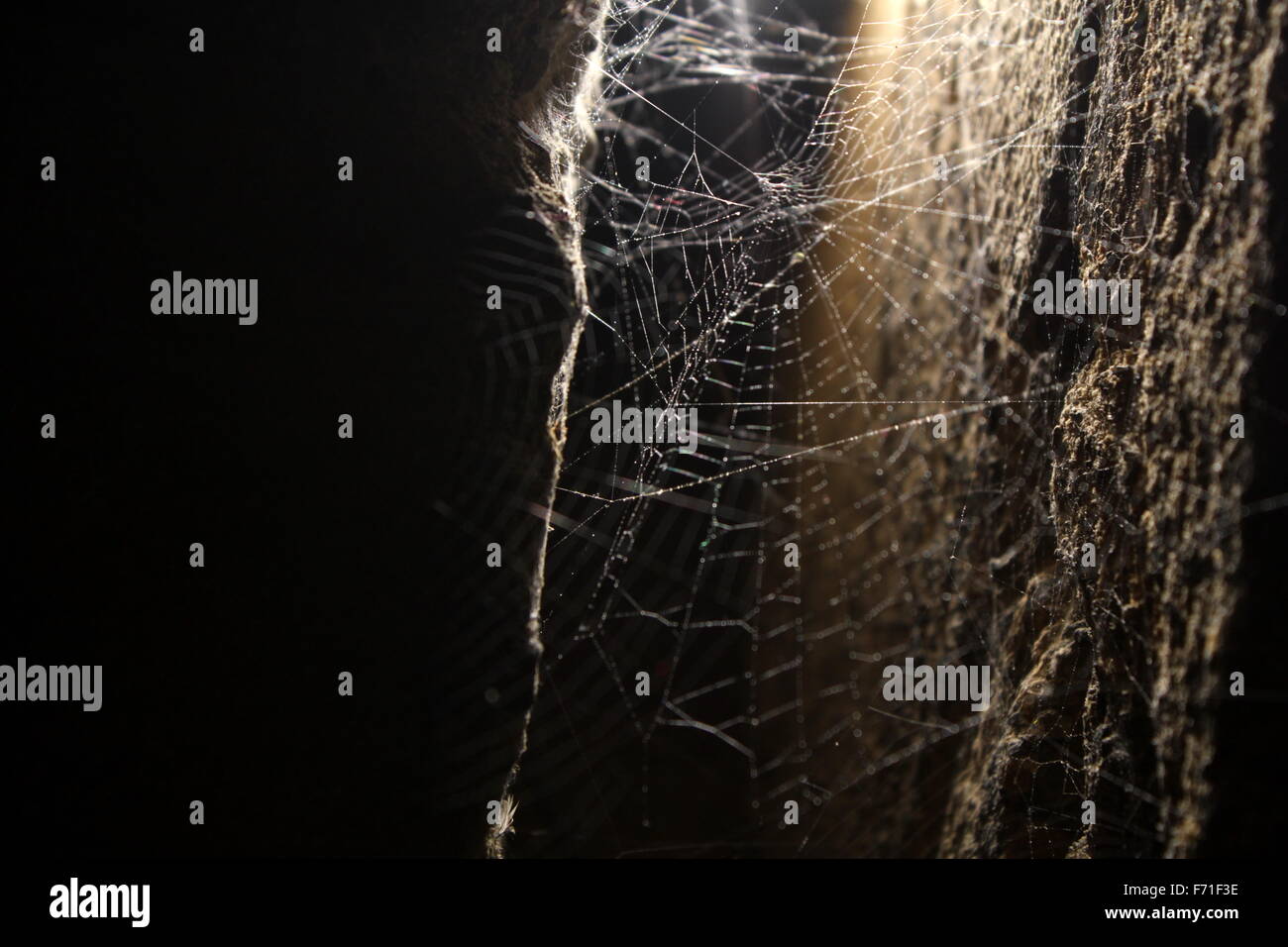 cobweb in dark cavity in room in house property at night Stock Photo ...