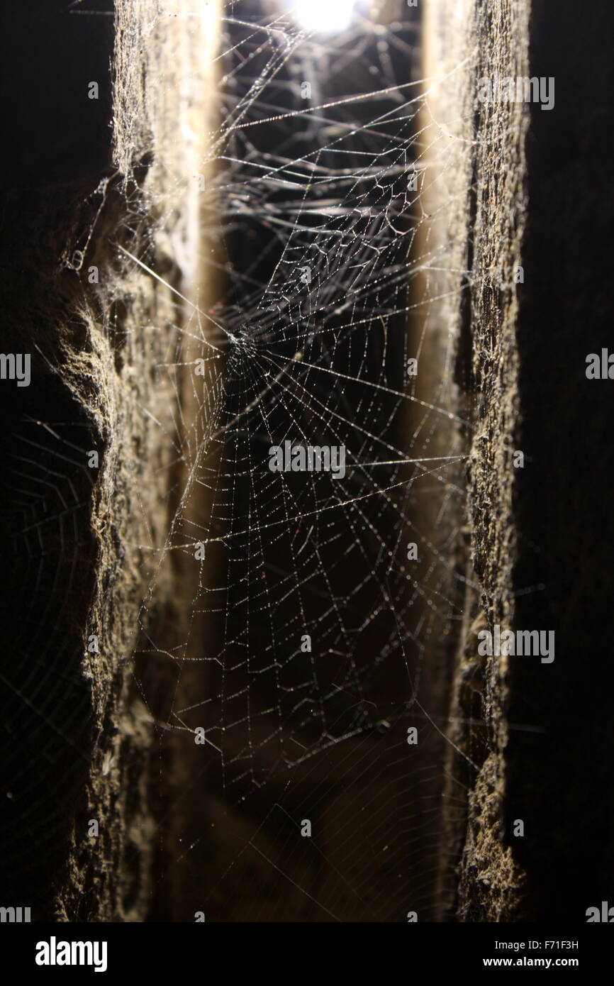 cobweb in dark cavity in room in house property at night Stock Photo ...