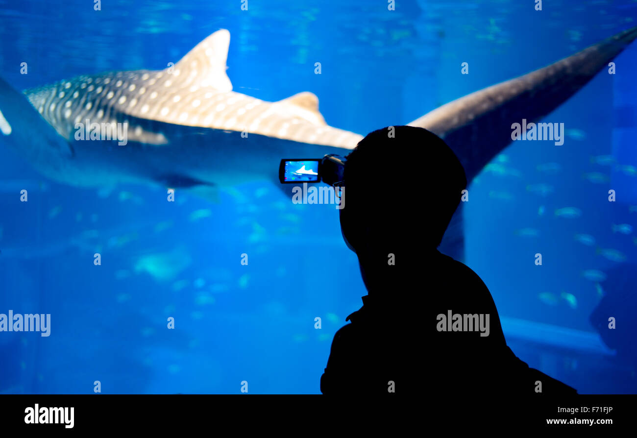 World association zoos aquariums hi-res stock photography and images ...