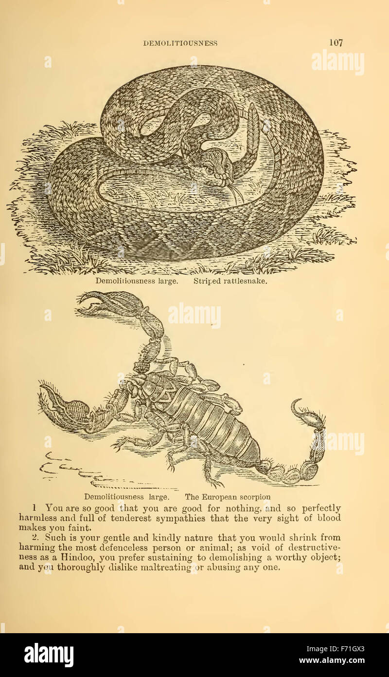 Human faces, what they mean Stock Photo - Alamy