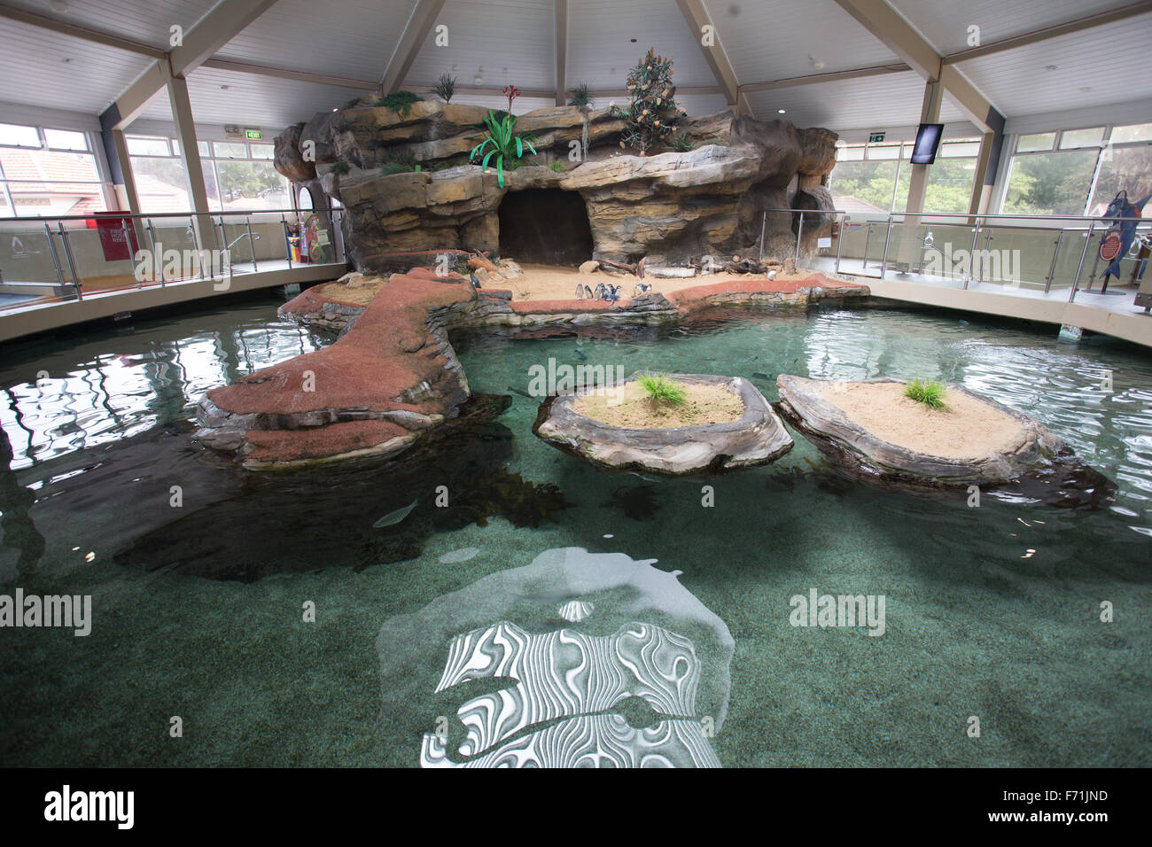 Manly Sea Life Sanctuary Stock Photo - Alamy
