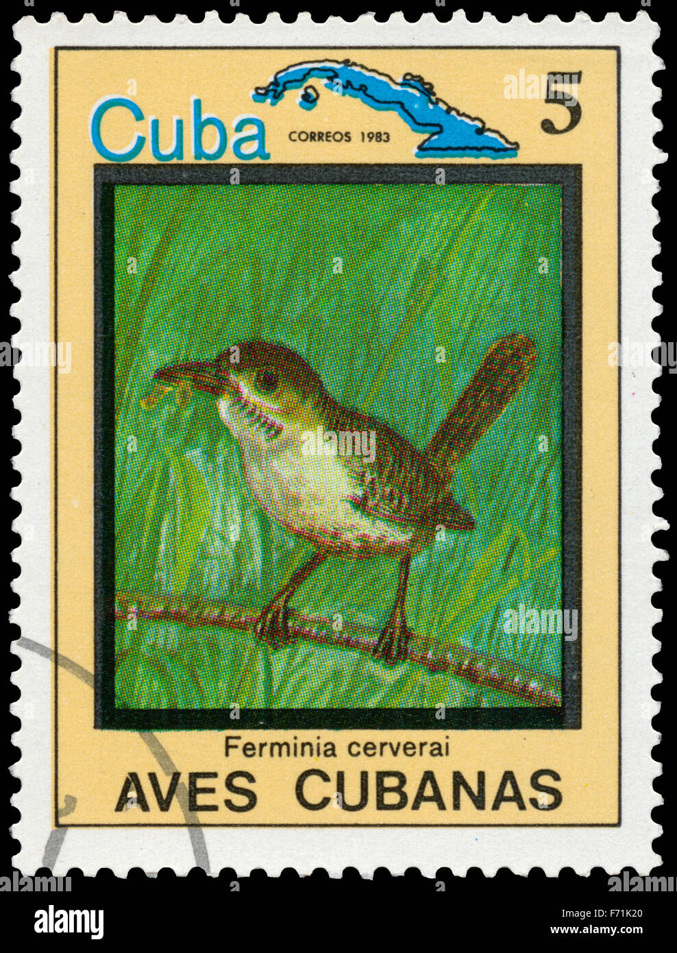 CUBA - CIRCA 1983: A stamp shows Zapata wren, Ferminia cerverai, from ...