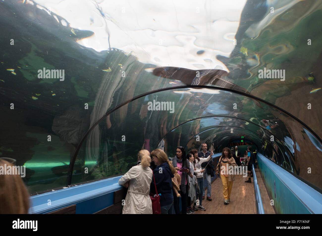 sea life sydney aquarium people Stock Photo - Alamy