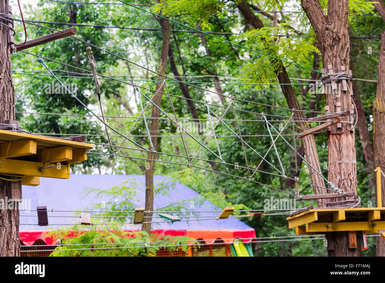 Adventure climbing high wire park, rope extreme park Stock Photo - Alamy