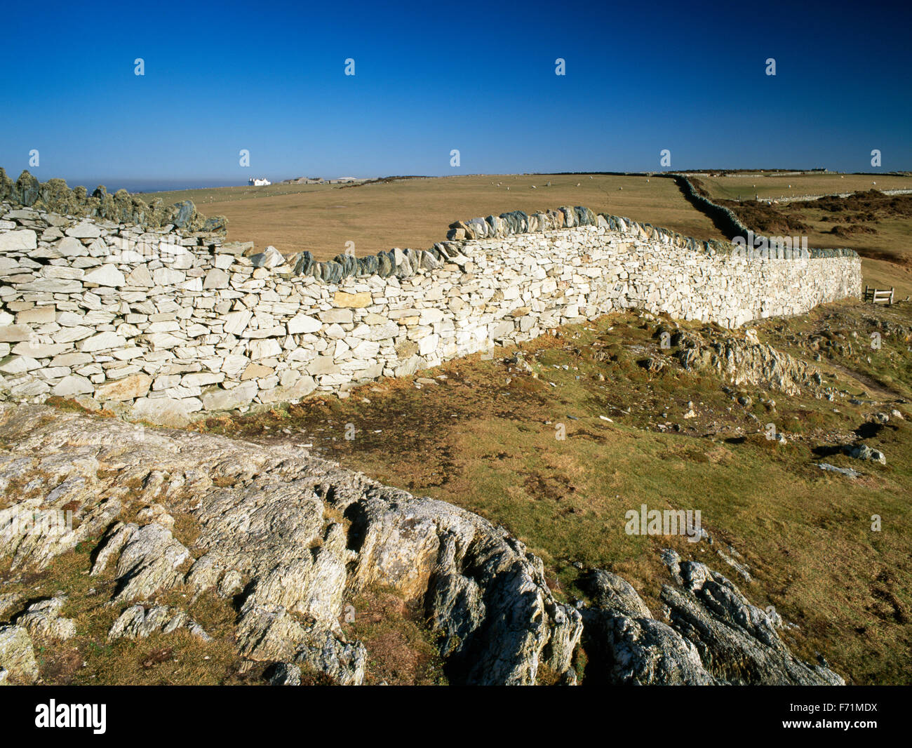 Wall coping hi-res stock photography and images - Alamy