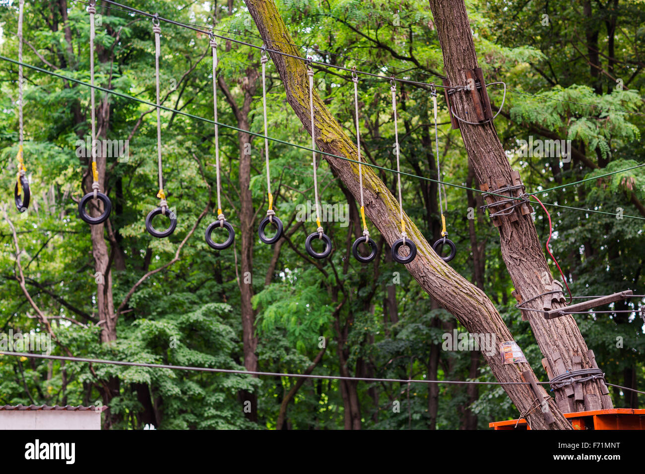 Adventure climbing high wire park, rope extreme park Stock Photo - Alamy