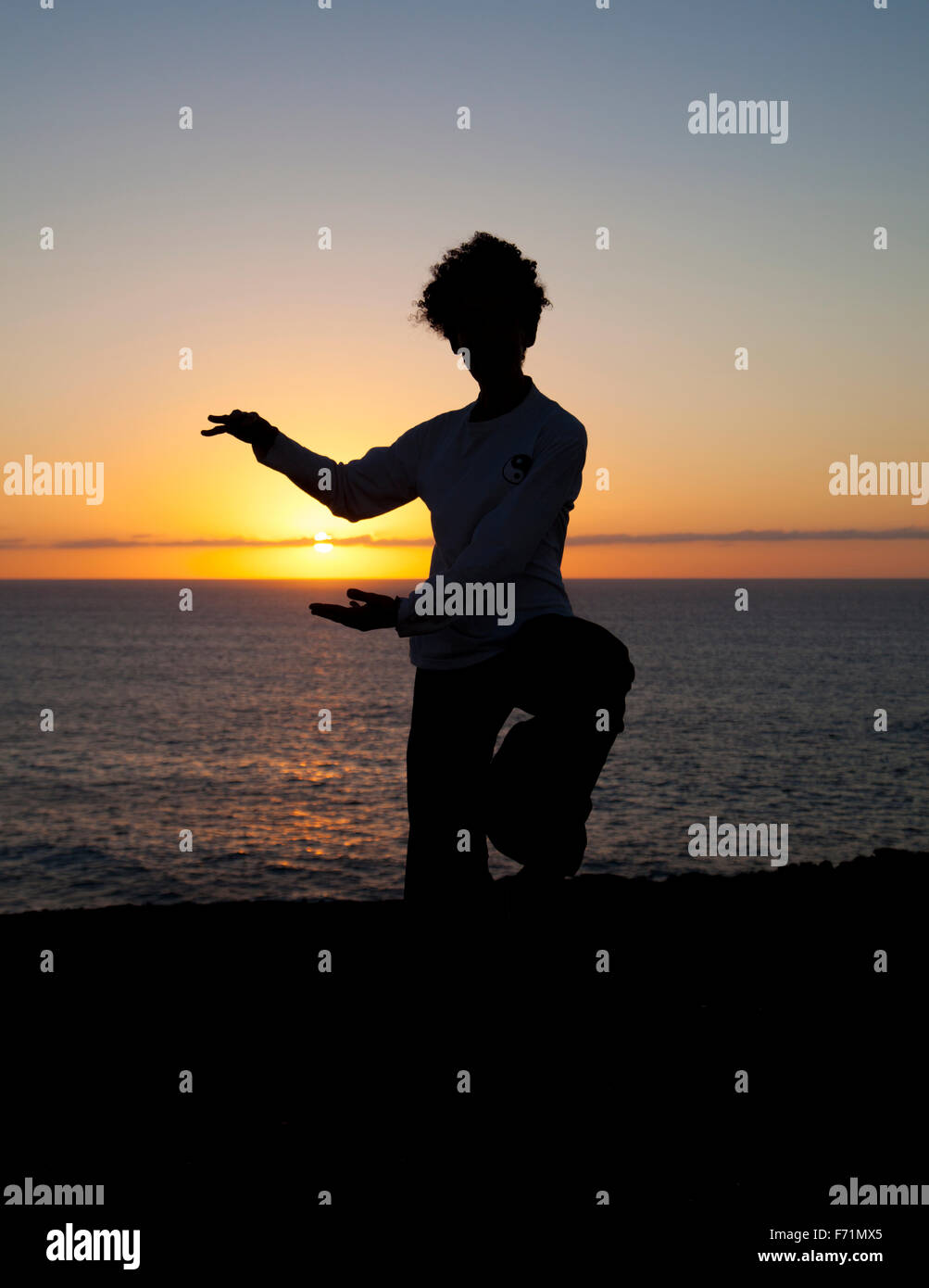 young woman performs tai chi moves silhouetted agains sunset Stock ...
