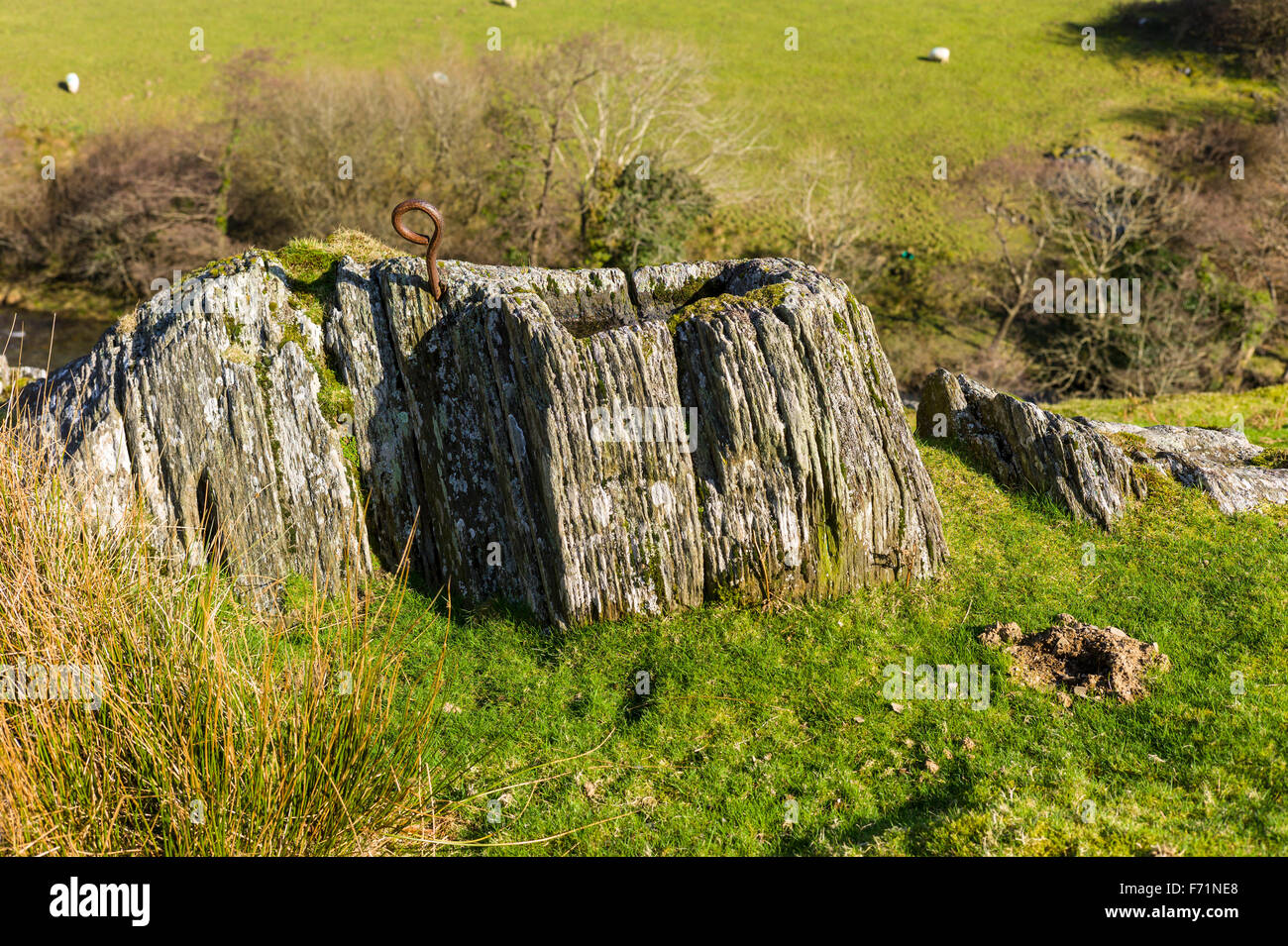 Old iron tethering ring for cattle set near to a chiseled hole in rock ...
