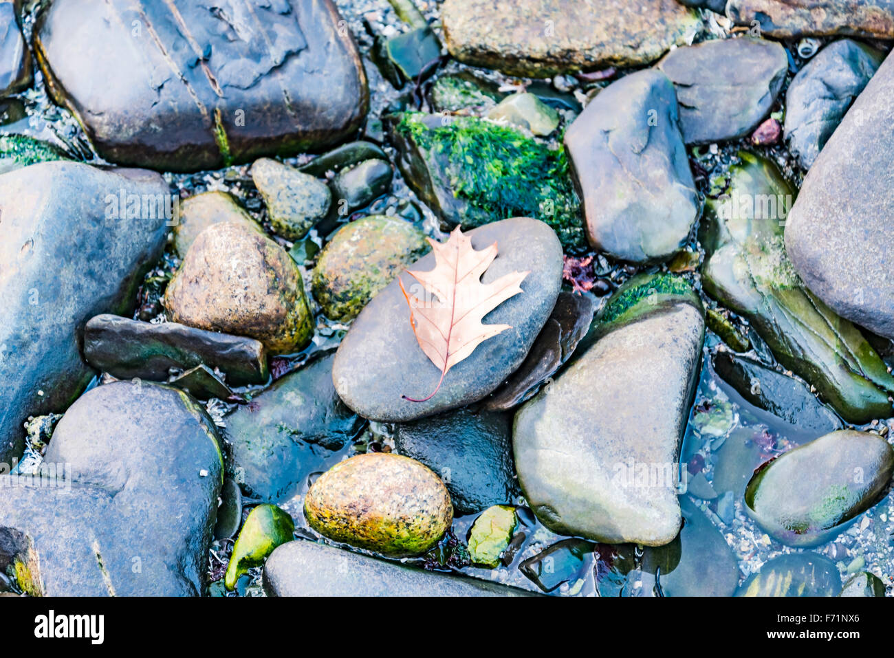 Small rocks on the beach Stock Photo - Alamy