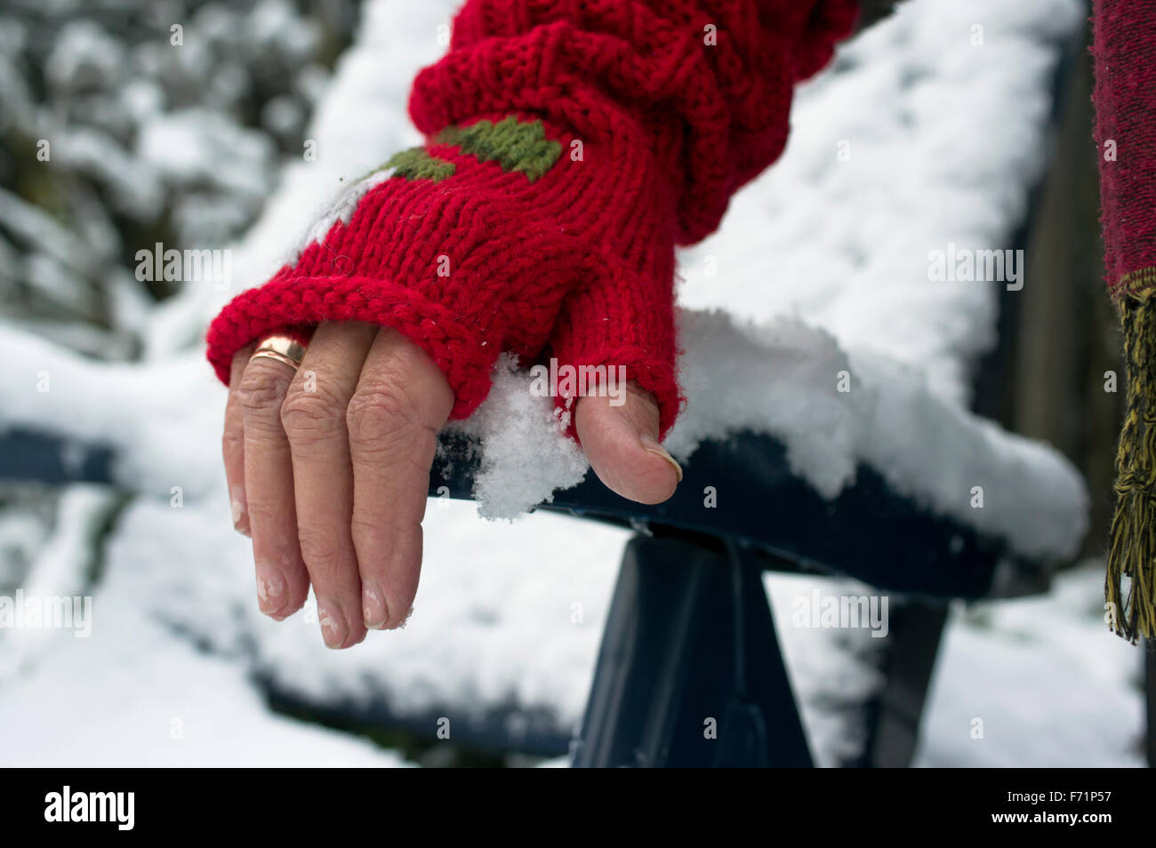 The golden glove hi-res stock photography and images - Alamy