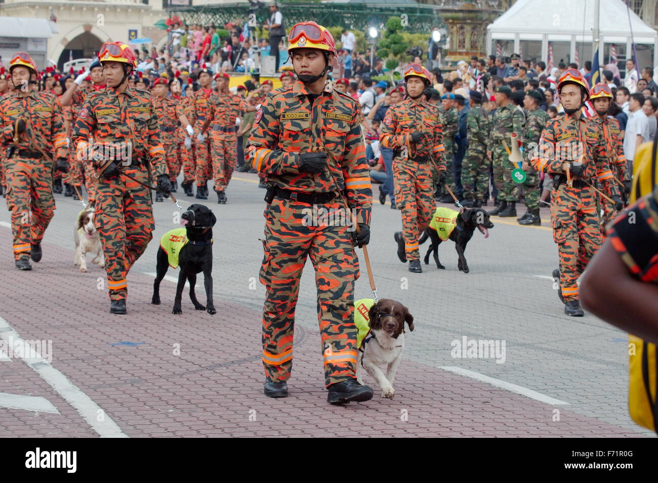 formation of military firefighters with dogs marching in parade 16 ...