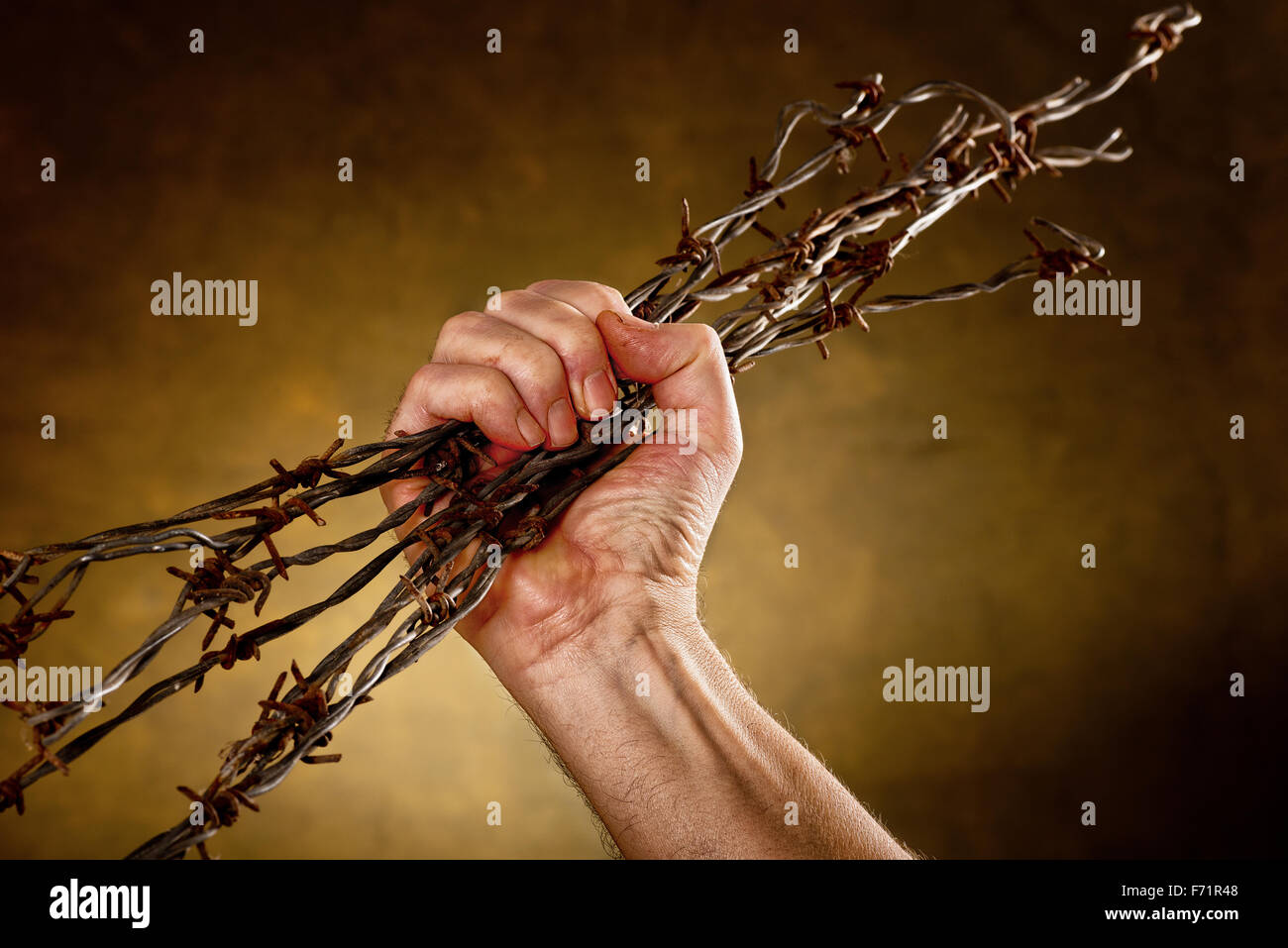 man crushes a bundle of barbed wire Stock Photo - Alamy