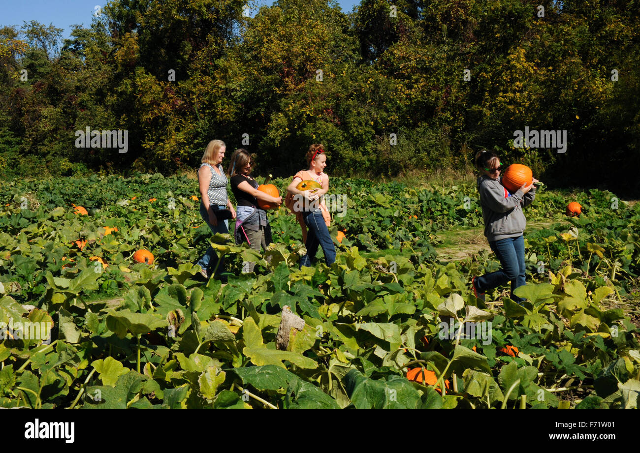 The Apple Works orchard and pumpkin farm in Trafalgar, Indiana Stock ...