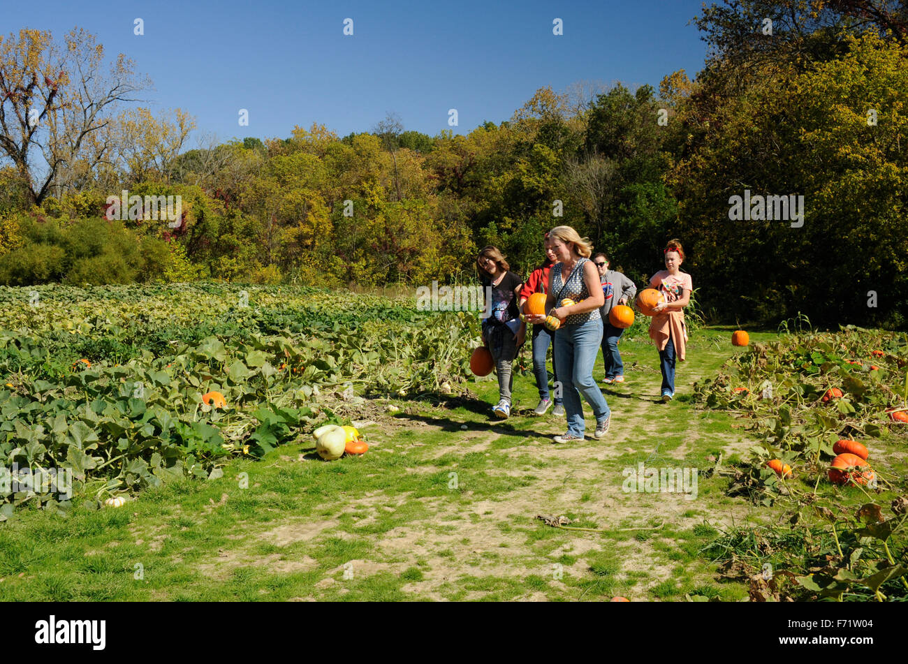 The Apple Works orchard and pumpkin farm in Trafalgar, Indiana Stock ...