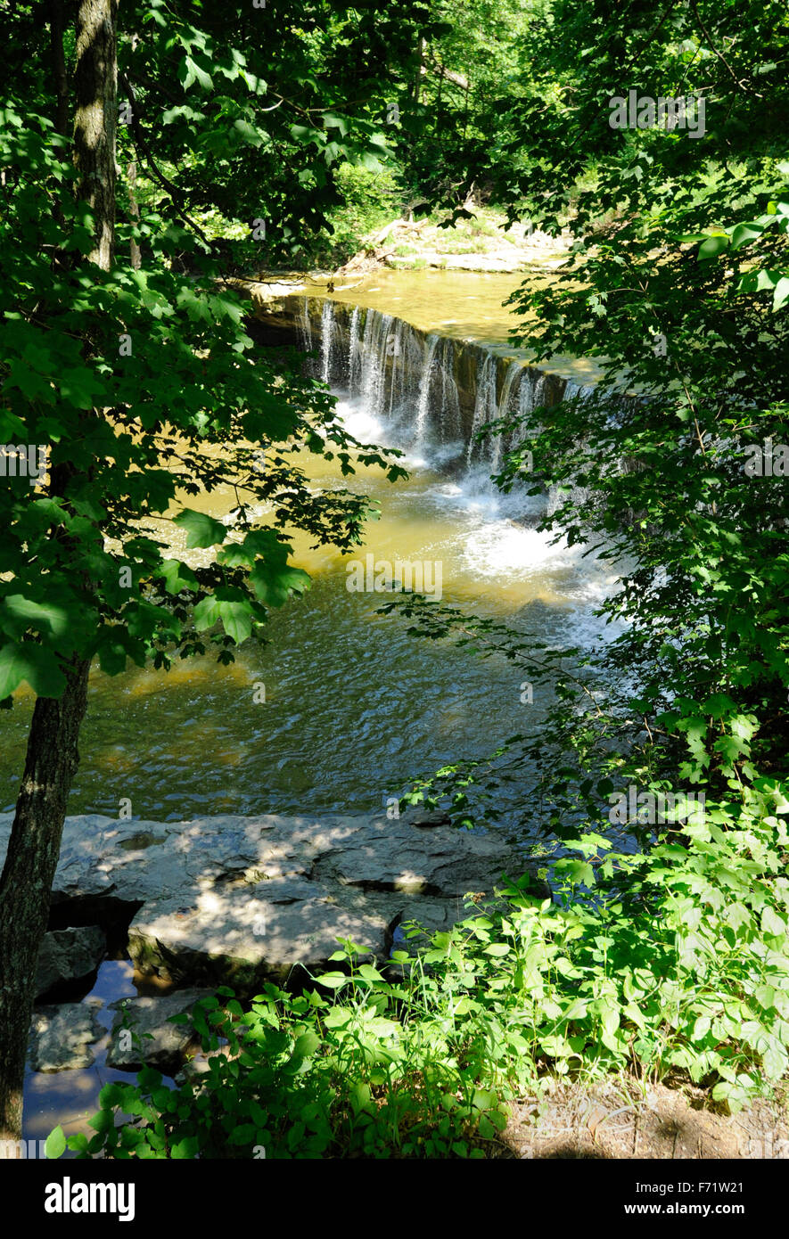 Anderson falls hi-res stock photography and images - Alamy