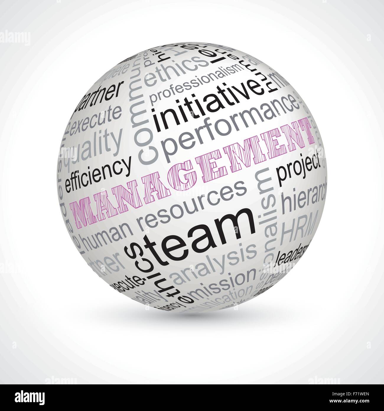 Management theme sphere with keywords full vector Stock Vector Image ...
