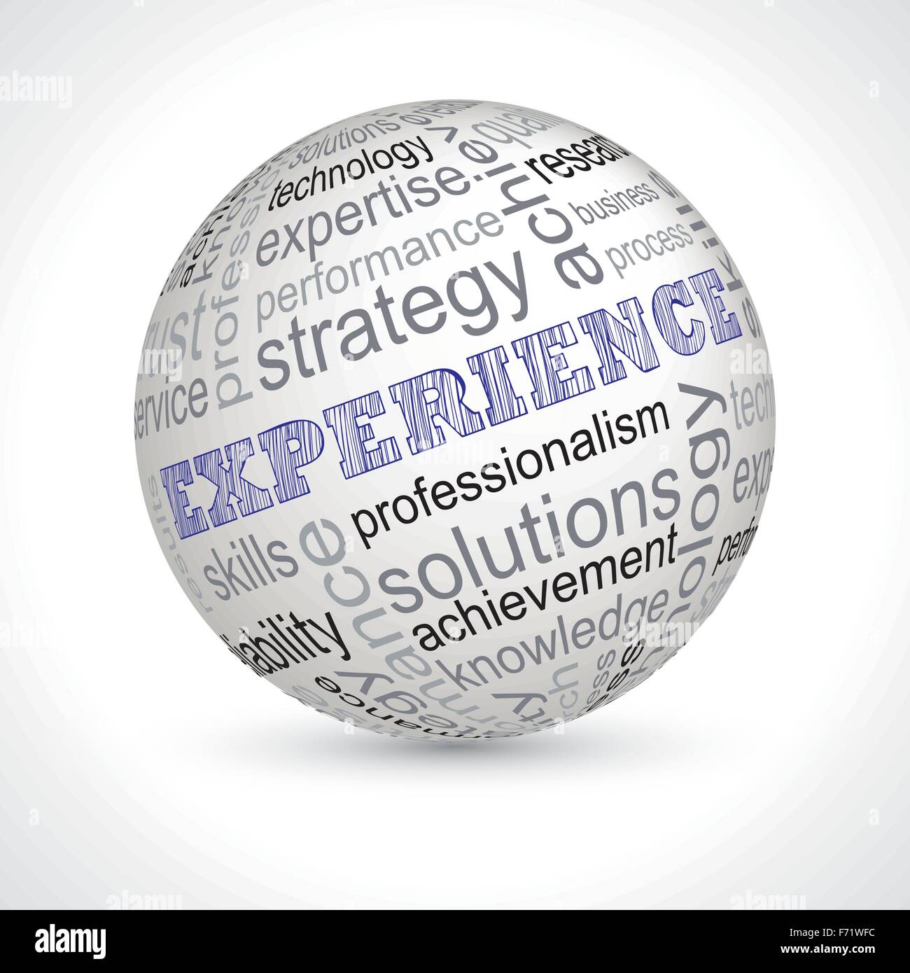 Experience theme sphere with keywords full vector Stock Vector Image ...