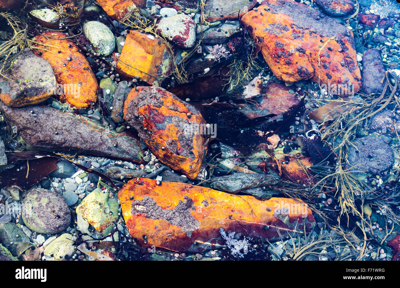 Small beach rocks hi-res stock photography and images - Alamy