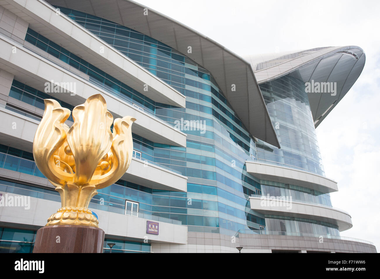 Golden bauhinia square hi-res stock photography and images - Alamy