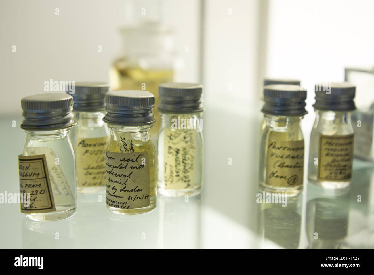 Specimen jar hi-res stock photography and images - Alamy