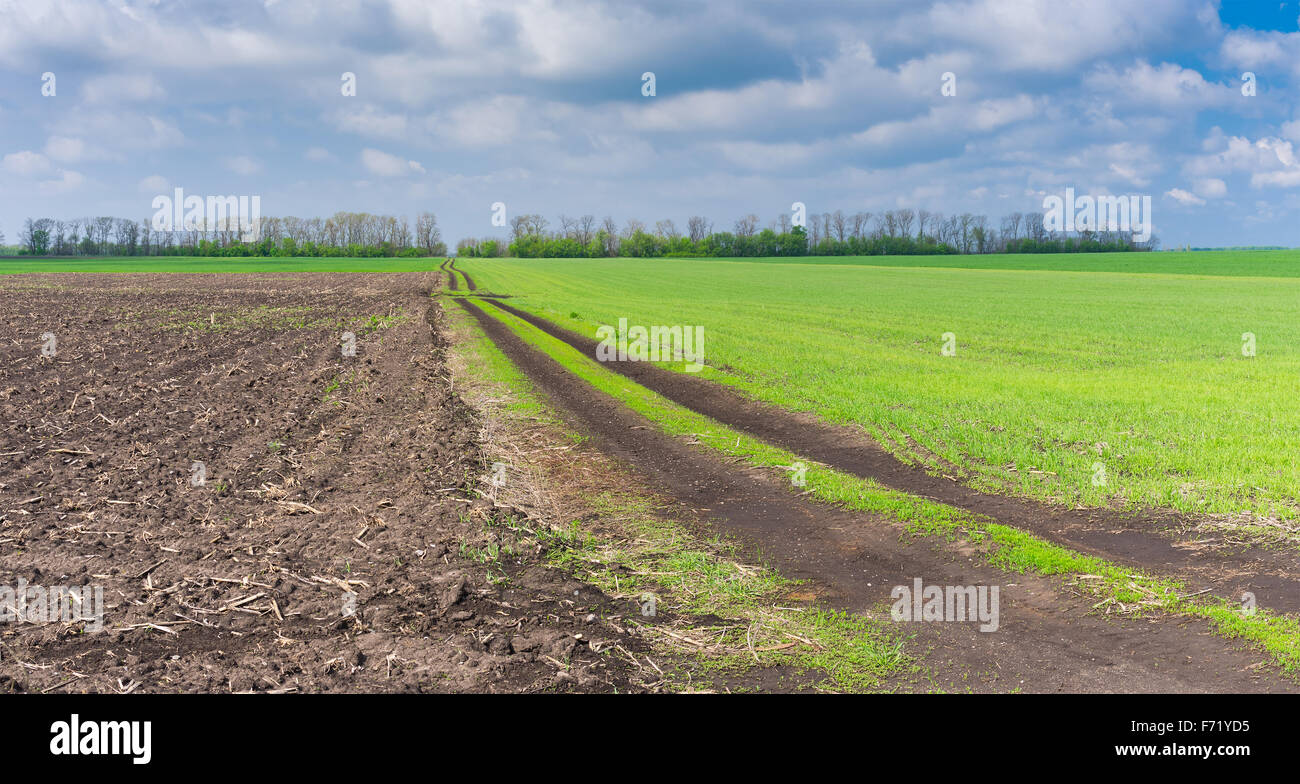 Landscape with agricultural fields and country road in central Ukraine ...