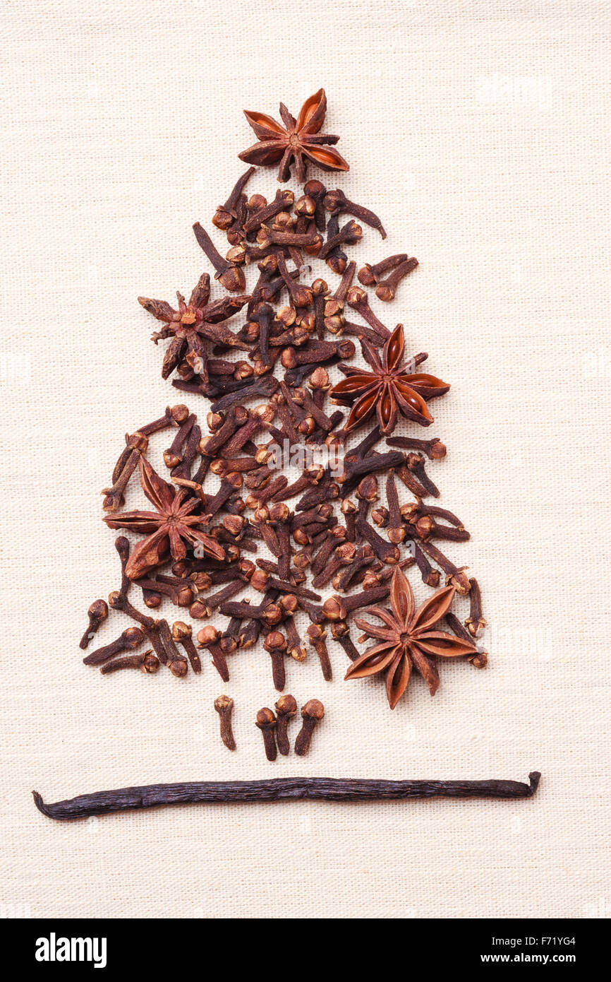 Vanilla pods on tree hi-res stock photography and images - Alamy