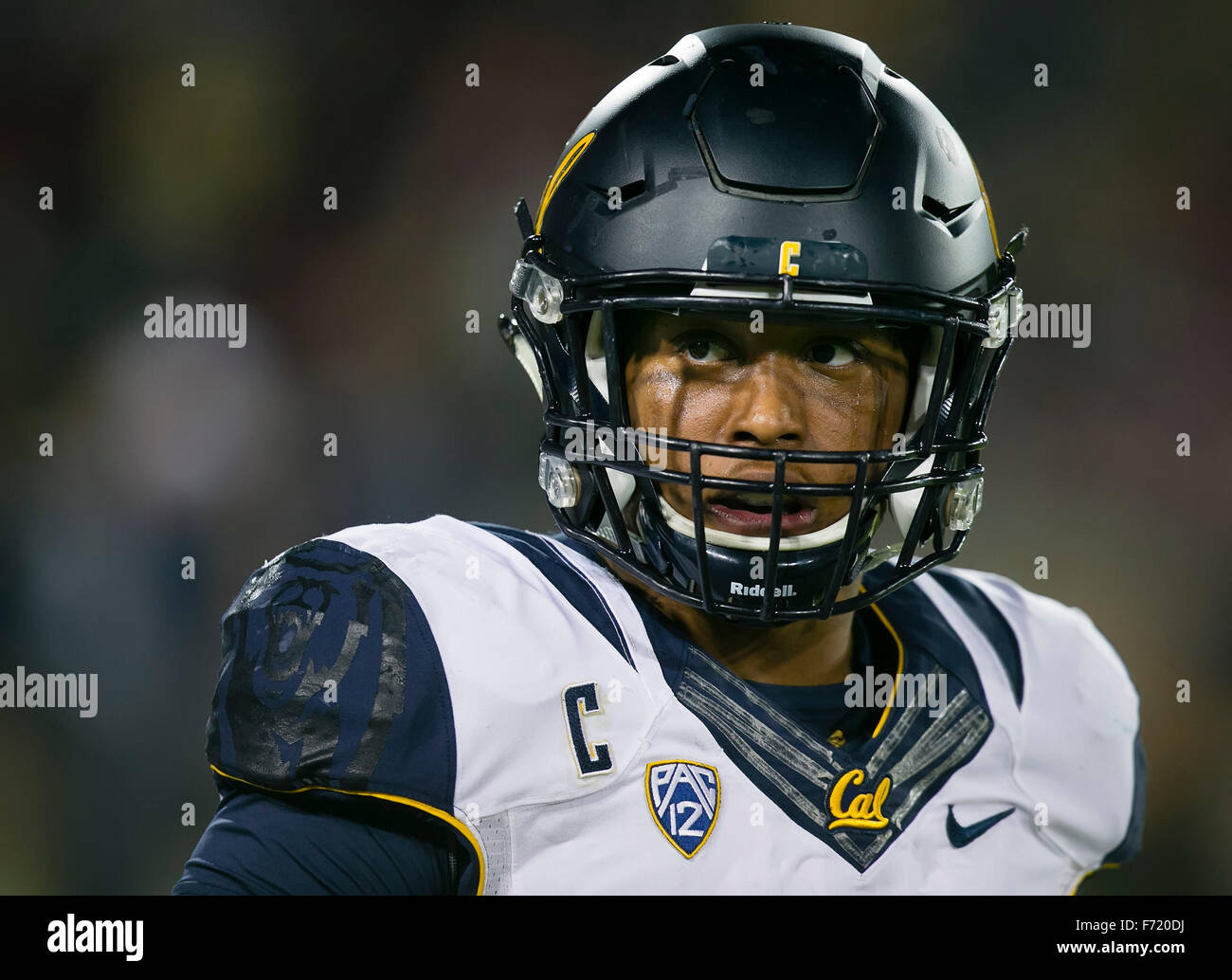 Hardy nickerson hi-res stock photography and images - Alamy