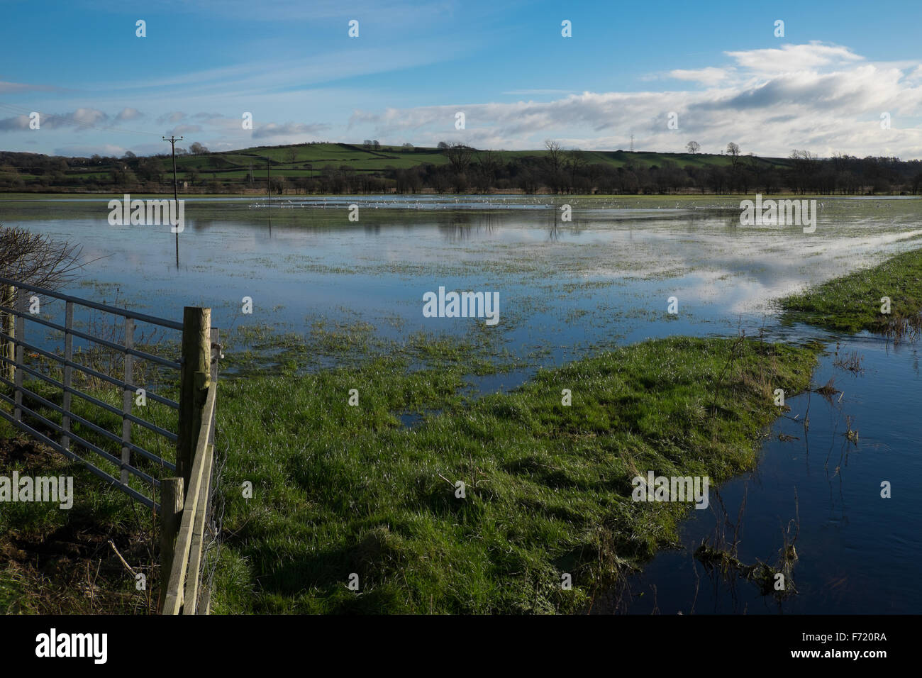 Saturated land hi-res stock photography and images - Alamy