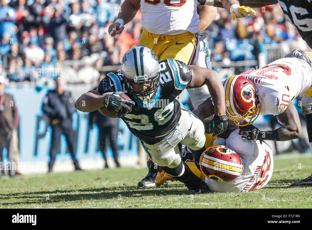 Charlotte, North Carolina, USA. 22nd Nov, 2015. NC, Carolina Panthers ...