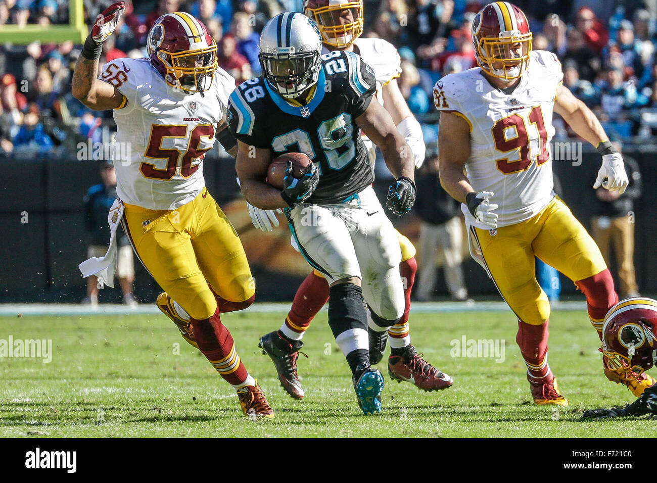 Charlotte, North Carolina, USA. 22nd Nov, 2015. NC, Carolina Panthers ...