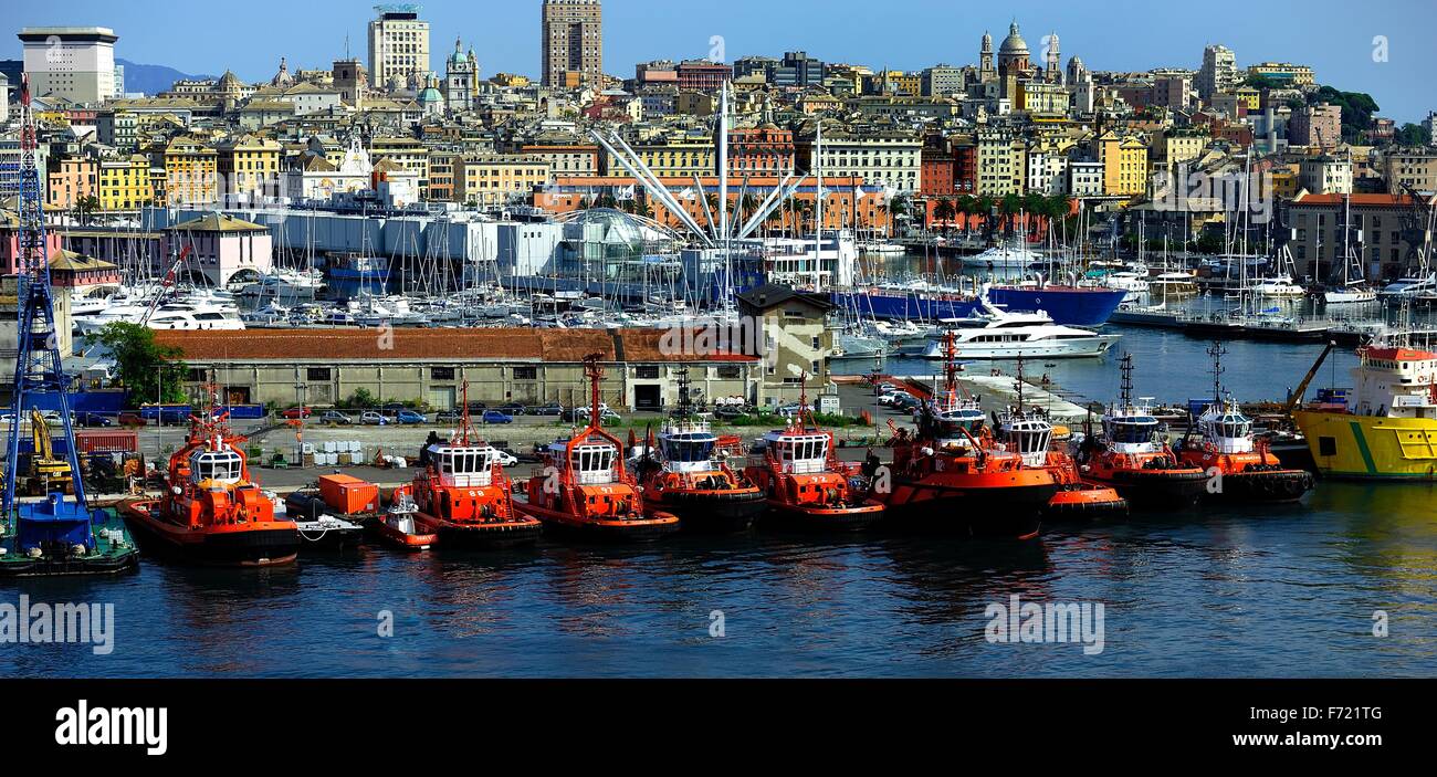 Line of Orange Tug Boats Stock Photo - Alamy