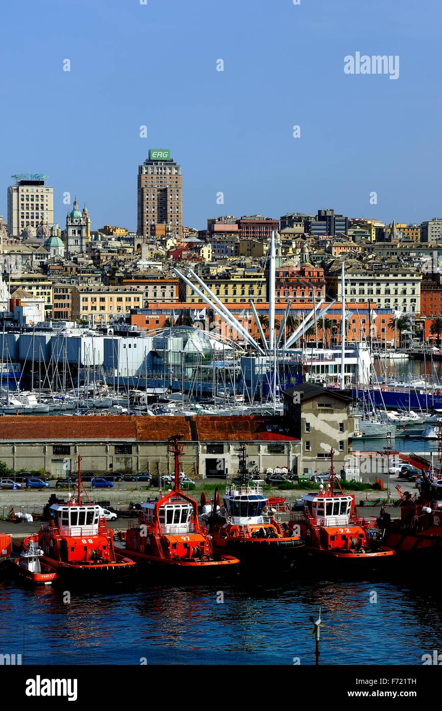 Line of Orange Tug Boats Stock Photo - Alamy