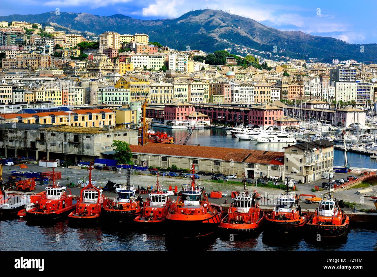 Line of Orange Tug Boats Stock Photo - Alamy