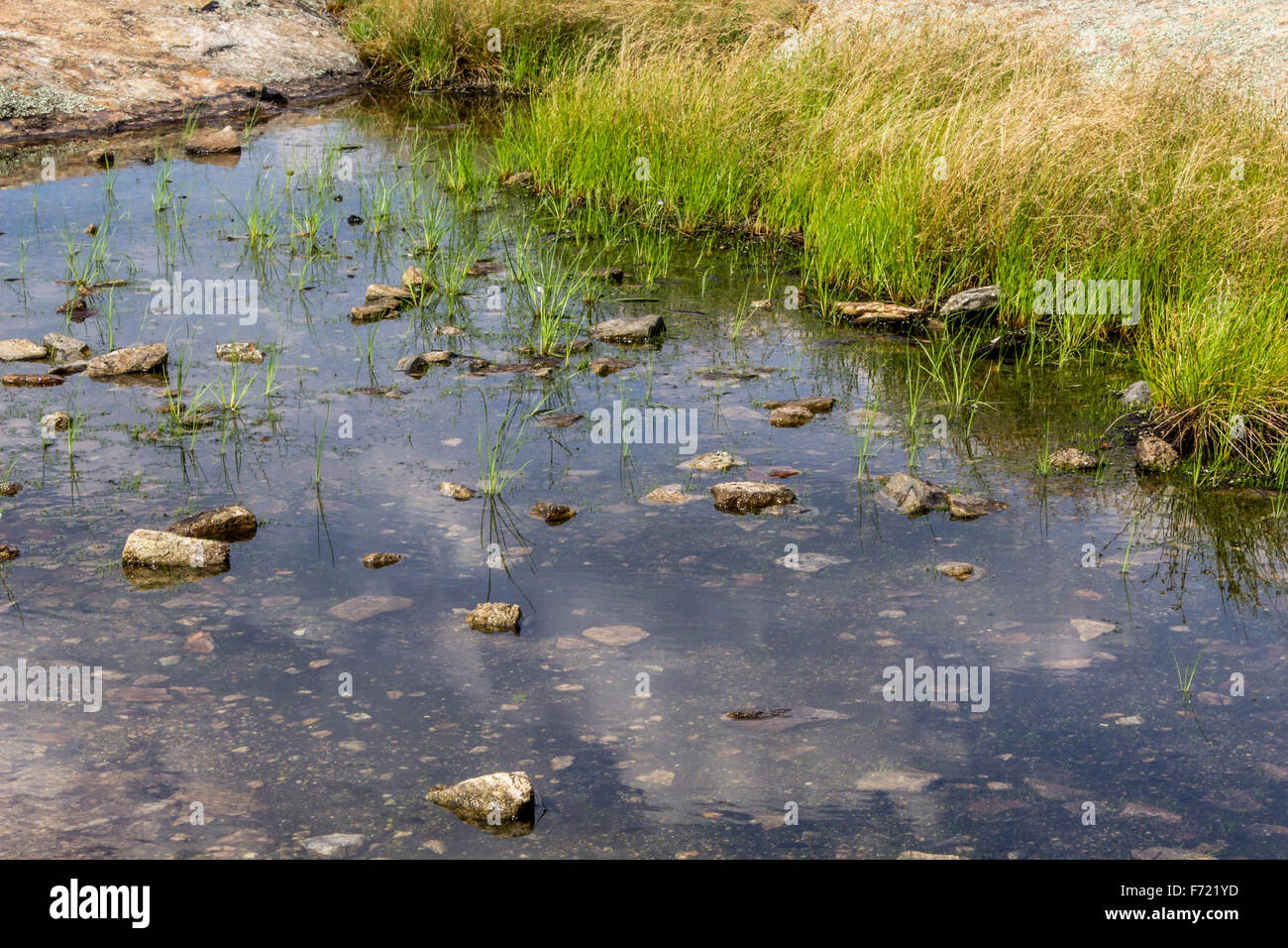 Hiking around Mount Arabia near Atlanta, GA Stock Photo - Alamy