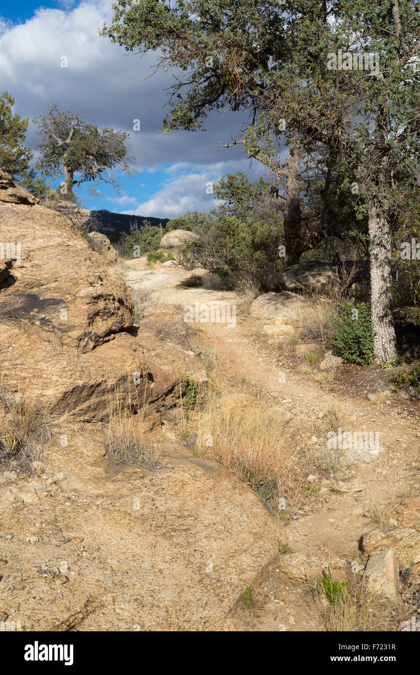 A rocky trail ascends Mica Mountain, Saguaro National Park, Arizona ...