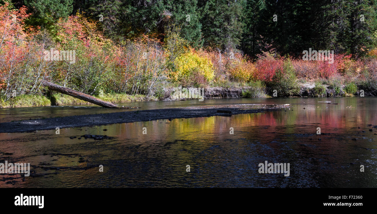 Colorful section of the Rouge river with a reflection of color Stock ...