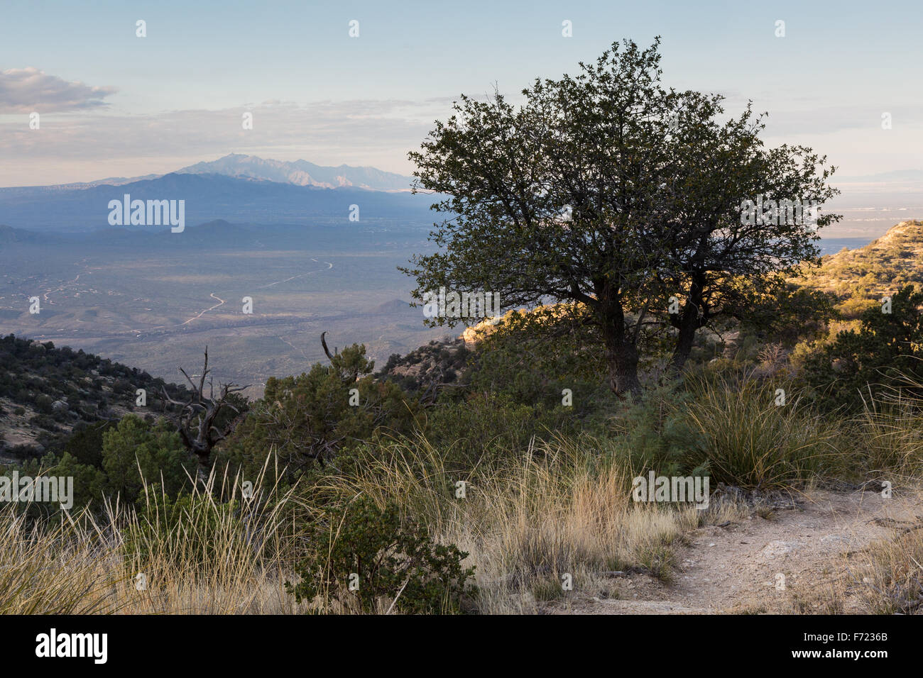 Mount Wrightson and the Santa Rita Mountains in the distance on the ...