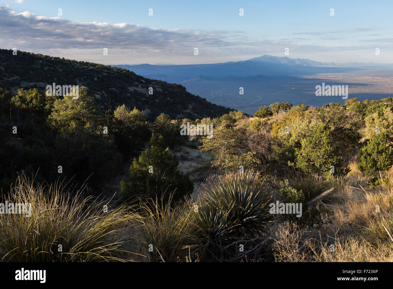 Mount wrightson santa rita mountains hi-res stock photography and ...