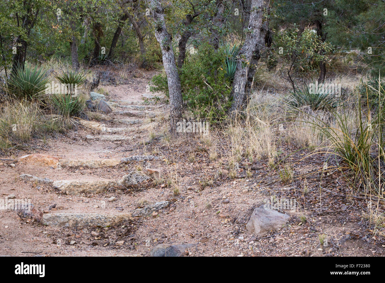 A rocky trail ascends Mica Mountain, Saguaro National Park, Arizona ...
