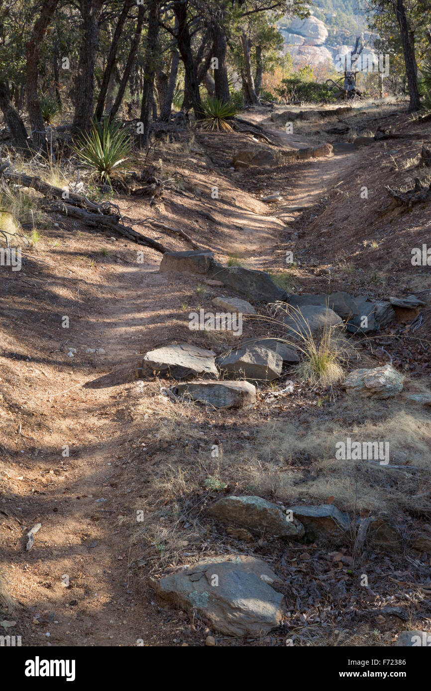 A rocky trail ascends Mica Mountain, Saguaro National Park, Arizona ...