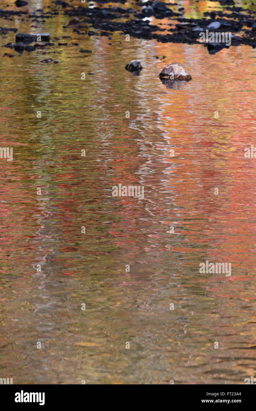 beautiful display of autumn color on a moving river reflection adding ...