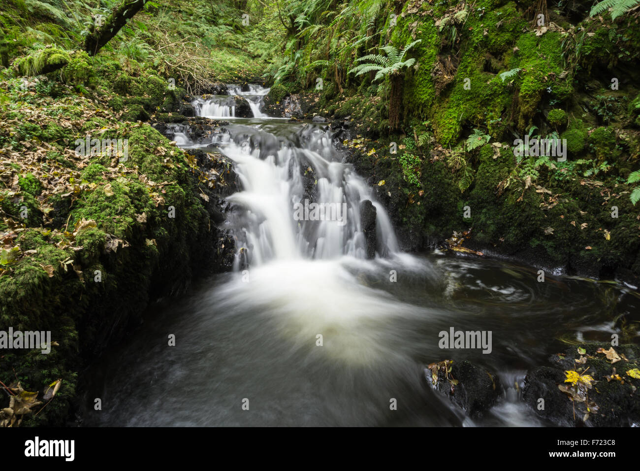 Gwaun water hi-res stock photography and images - Alamy