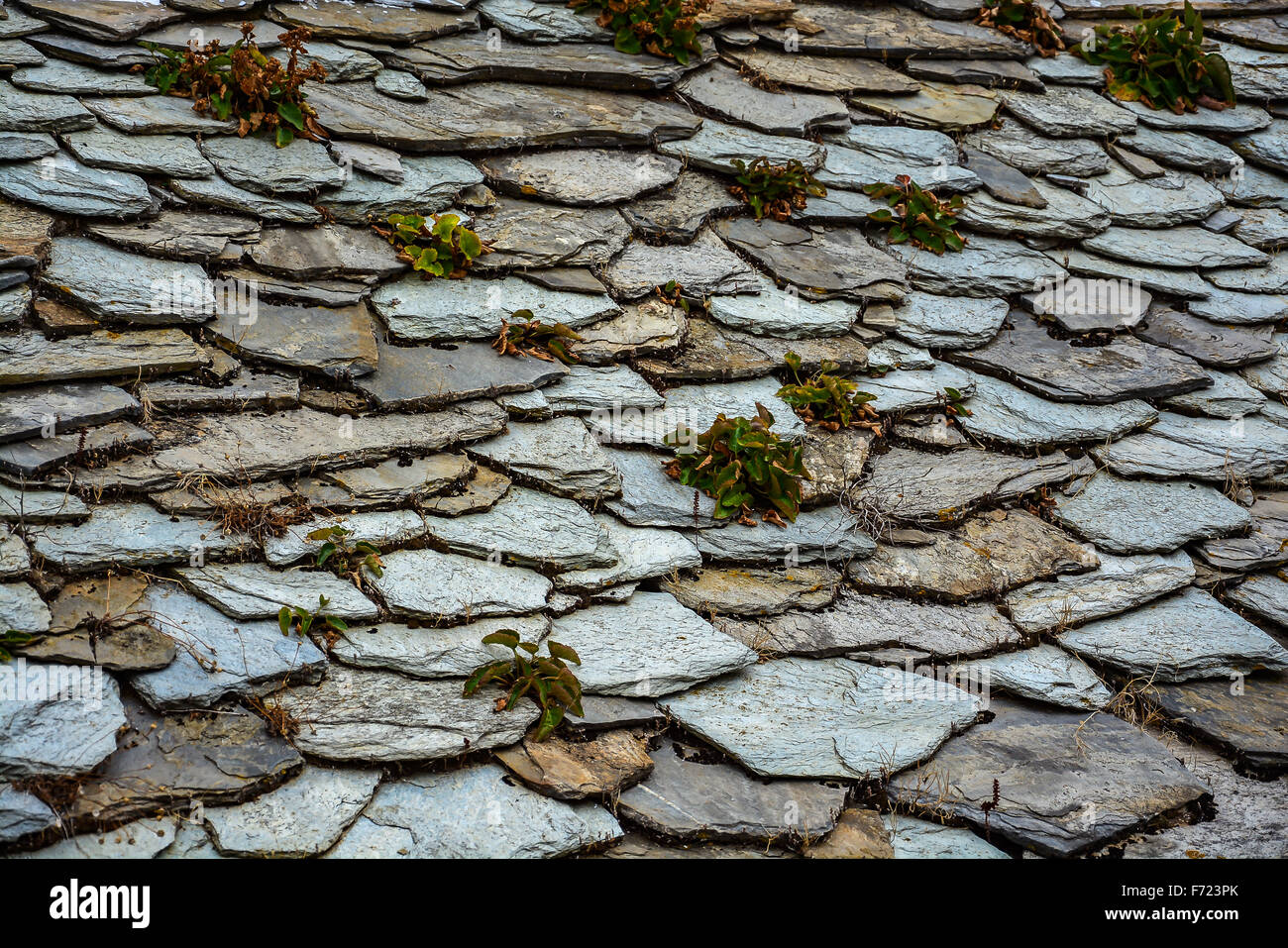 Stone roof tiles hi-res stock photography and images - Alamy